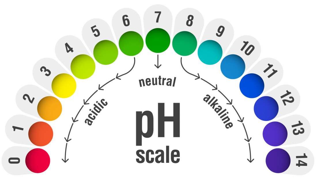 Does Temperature Affect pH? - Techiescientist - 万博网页版,万博体育app手机版登录