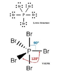 Lewis结构，分子几何，杂交和极性-技术科学家万博网页版 - 万博网页版,万博体育app手机版登录