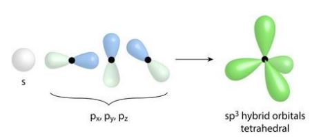 CH2F2 Lewis结构，分子几何，杂交和极性-技术科学家万博网页版 - 万博网页版,万博体育app手机版登录