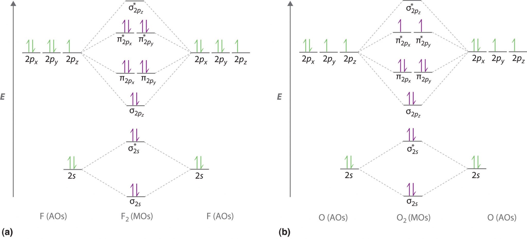 OF2刘易斯结构，分子几何，杂交，极性，和MO图-技术科学家万博网页版 - 万博网页版,万博体育app手机版登录
