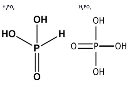 H3PO4是酸还是碱?——万博网页版Techiescientist - 万博网页版,万博体育app手机版登录