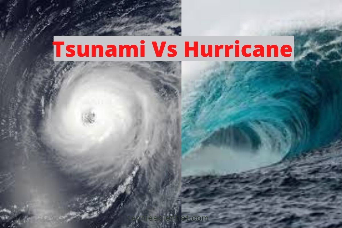 海啸Vs飓风-详细比较-技术科学家万博网页版 - 万博网页版,万博体育app手机版登录